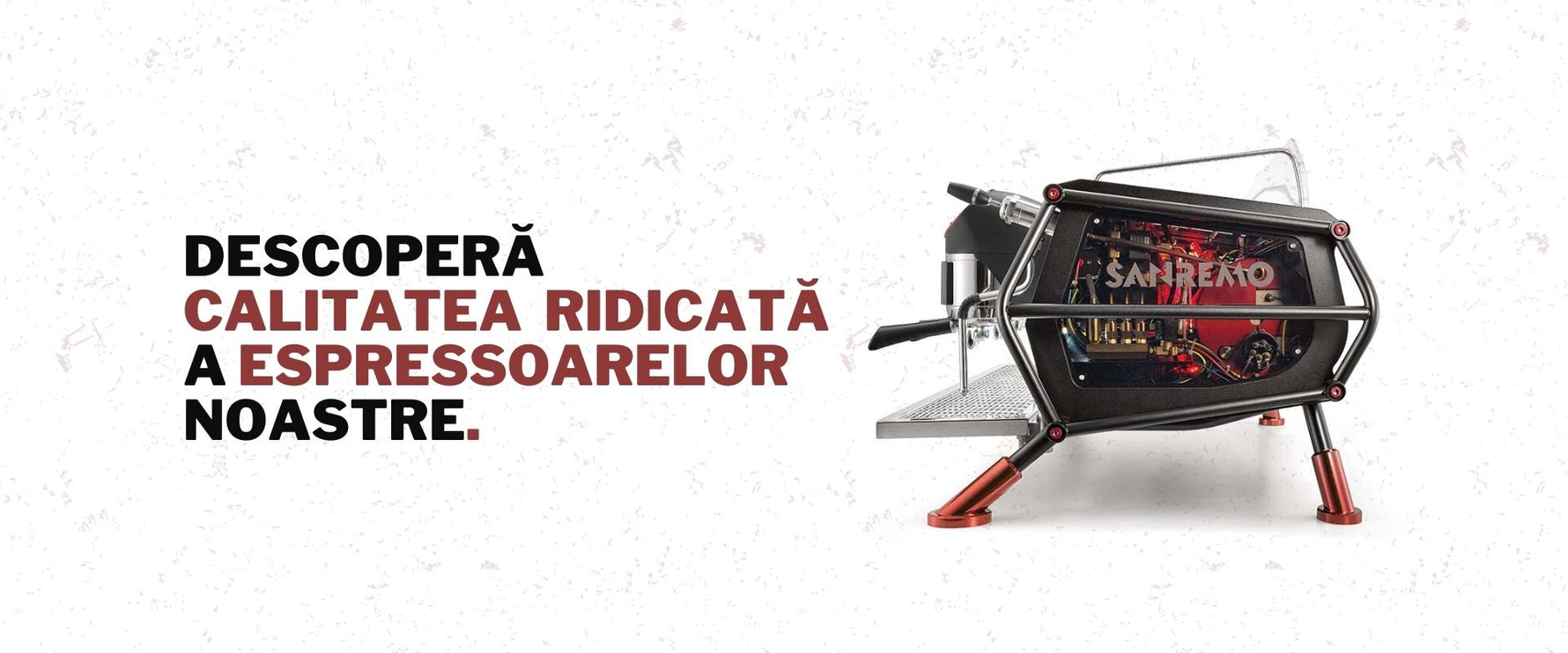 Barista Expert – Coffee Events, Consulting & Cafea Cuppino